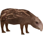 Category:Ancient Trunks (Demon Hunter) | ZT2 Download Library Wiki | Fandom