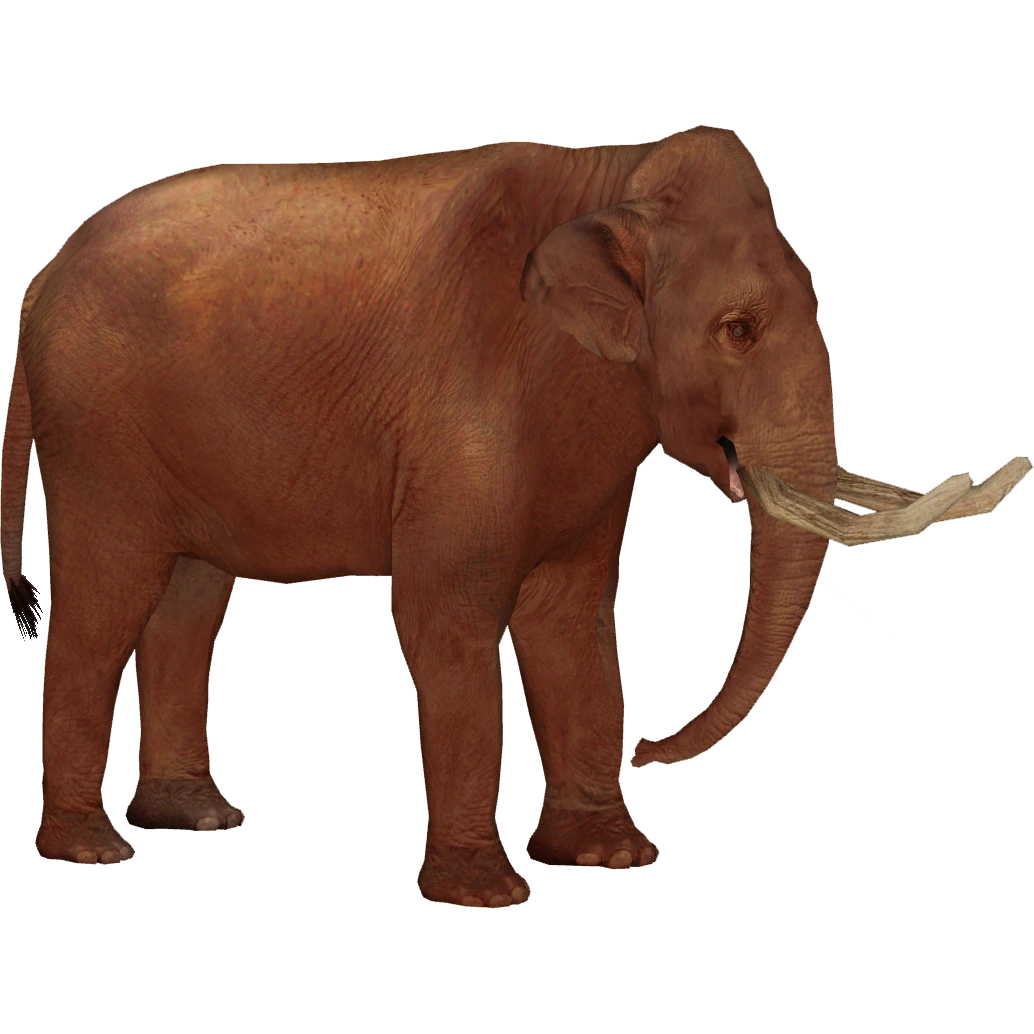 Dwarf Kos Elephant (Tamara Henson) | ZT2 Download Library Wiki | Fandom