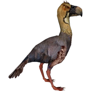 Paraphysornis (Bill) | ZT2 Download Library Wiki | Fandom