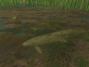 Triassic Lungfish (Zhadow) | ZT2 Download Library Wiki | Fandom