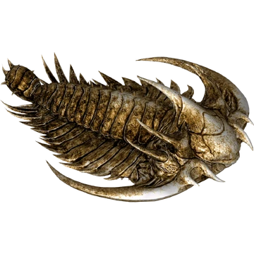 zoo tycoon 2 coloring pages