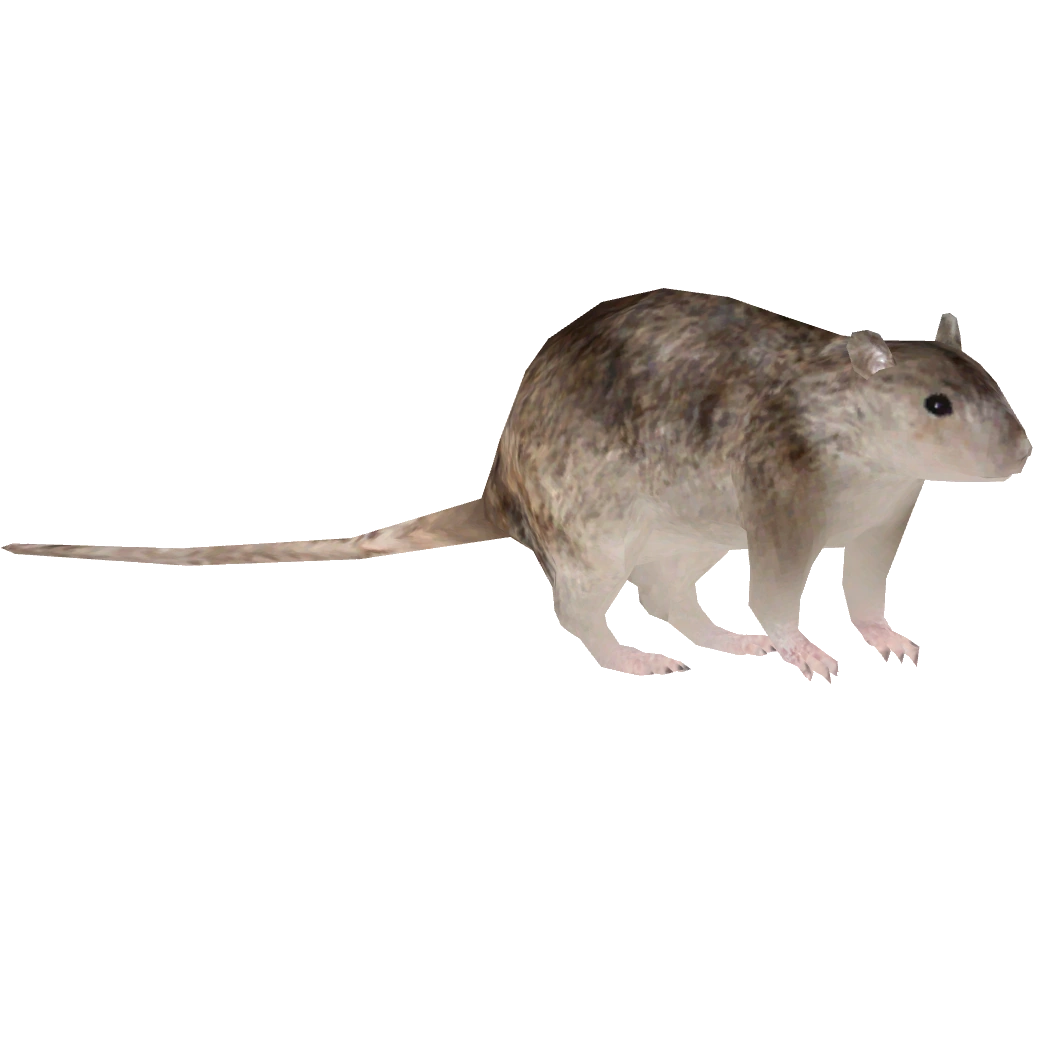 Brown Rat (Ulquiorra) | ZT2 Download Library Wiki | Fandom