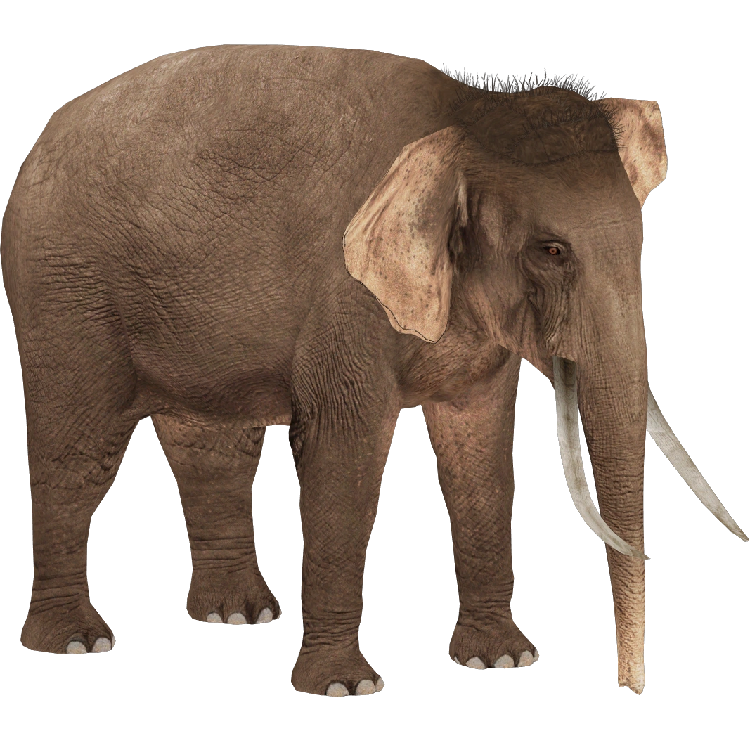 Primelephas (Demon Hunter) | ZT2 Download Library Wiki | Fandom