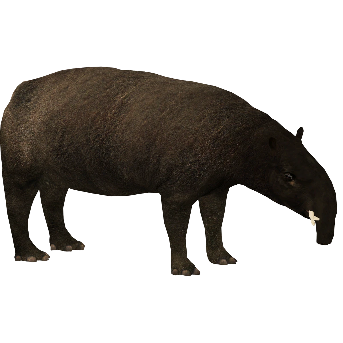 Comahuetherium (Demon Hunter) | ZT2 Download Library Wiki | Fandom