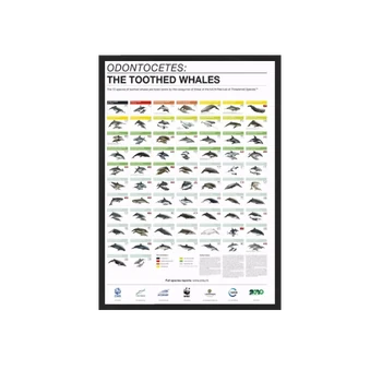 Framed Posters (Zeta-Designs) | ZT2 Download Library Wiki | Fandom