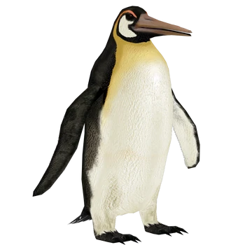 Kupoupou (Demon Hunter) | ZT2 Download Library Wiki | Fandom