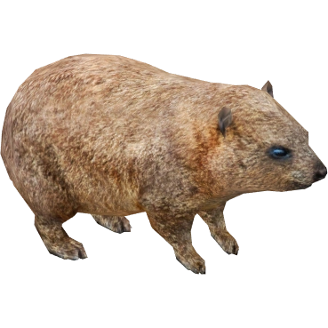 Rock Hyrax (Aurora Designs) | ZT2 Download Library Wiki | Fandom