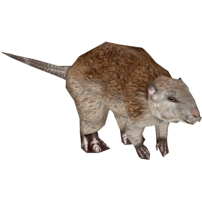 Tanezumi Rat (Tamara Henson) | ZT2 Download Library Wiki | Fandom