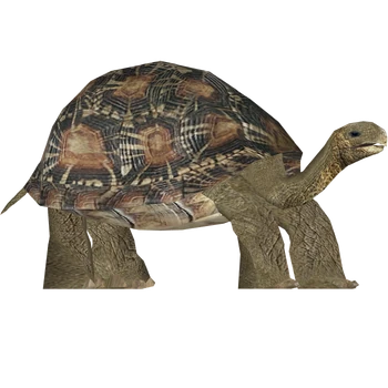 Colossochelys (Kingcobrasaurus) | ZT2 Download Library Wiki | Fandom