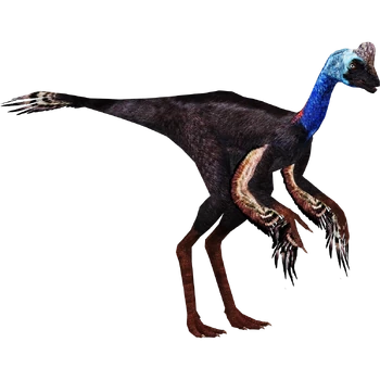 Chirostenotes (Alvin Abreu) | ZT2 Download Library Wiki | Fandom