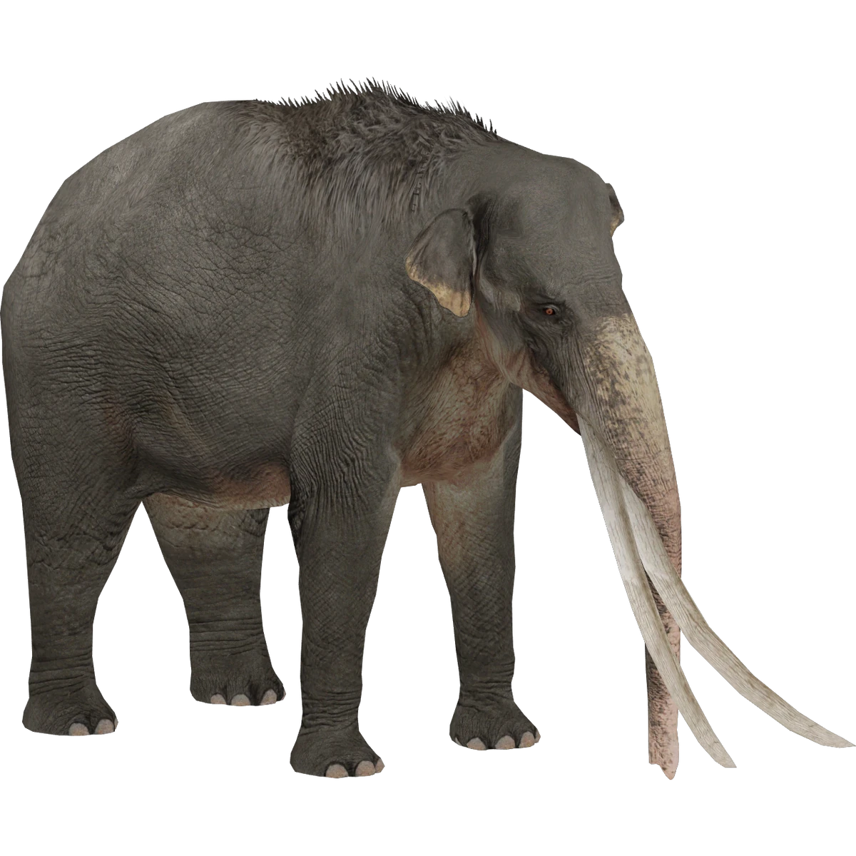 Chinese Stegodon (Demon Hunter) | ZT2 Download Library Wiki | Fandom