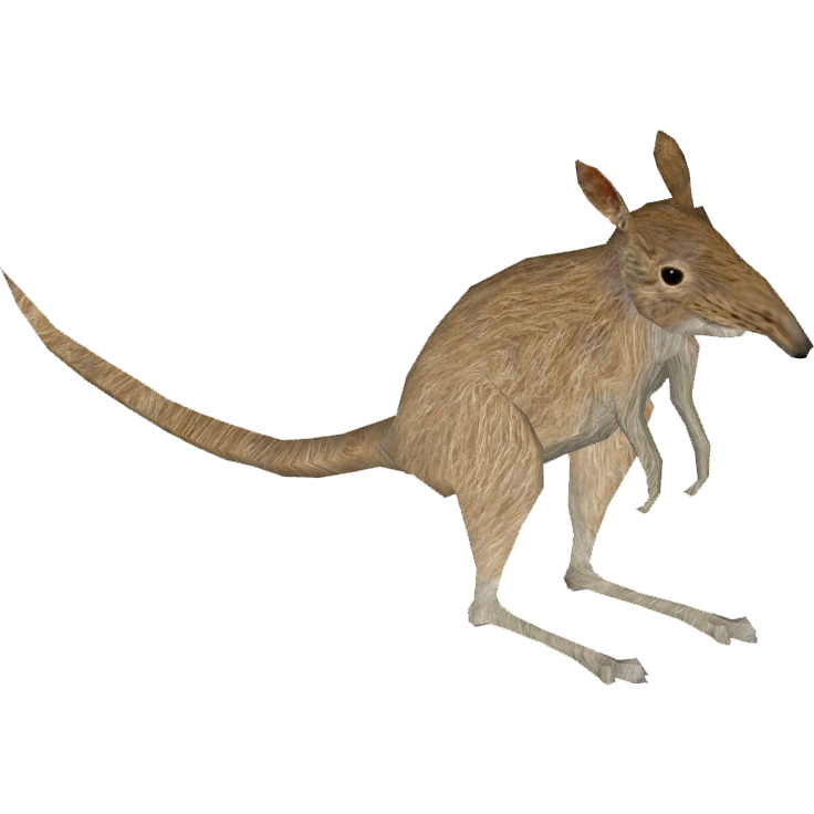 North African Sengi (Tamara Henson) | ZT2 Download Library Wiki | Fandom