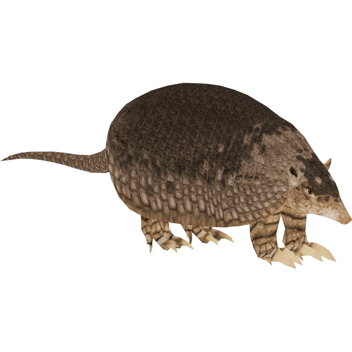 Proeutatus (Demon Hunter) | ZT2 Download Library Wiki | Fandom