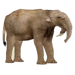 Category:Miocene Animals | ZT2 Download Library Wiki | Fandom