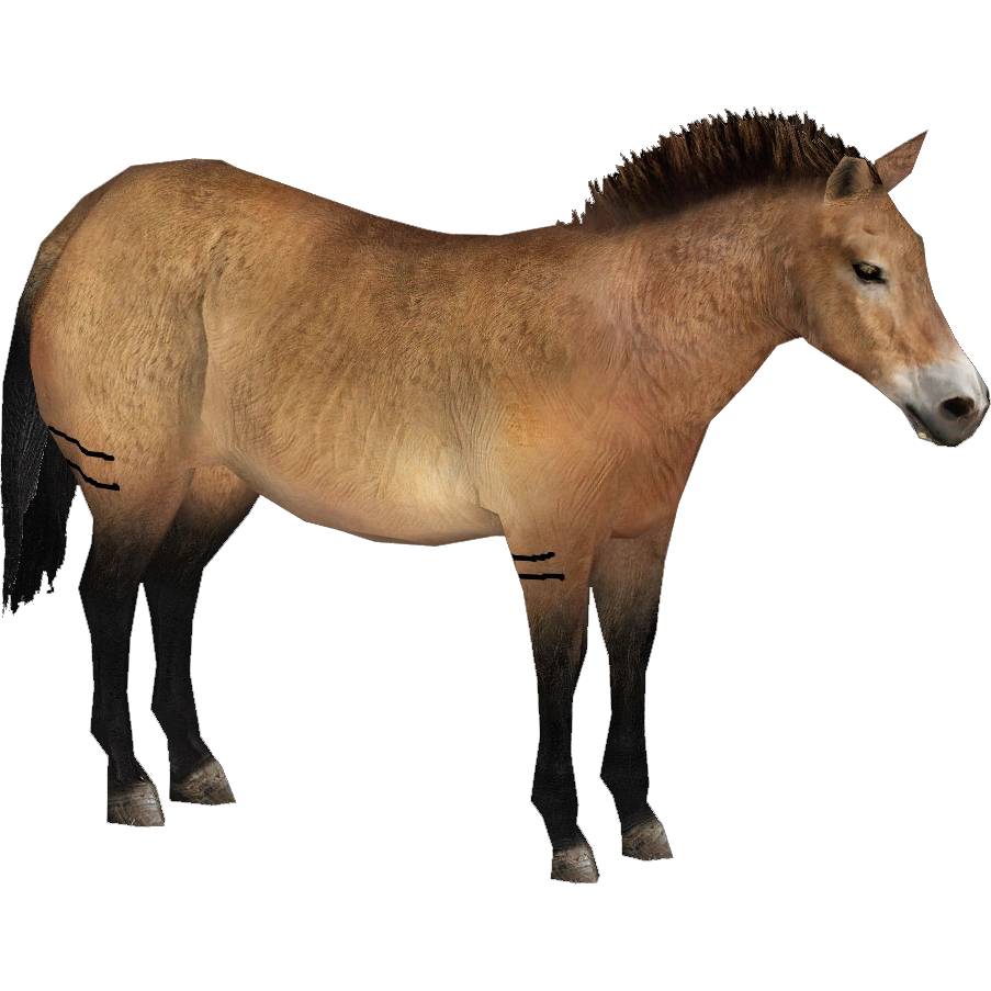 Siberian Zebra (Palaeoloxodon28) | ZT2 Download Library Wiki | Fandom