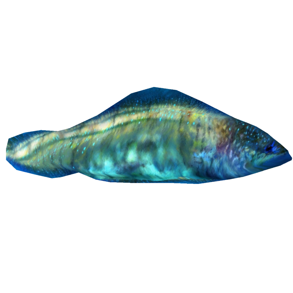 Haikouichthys