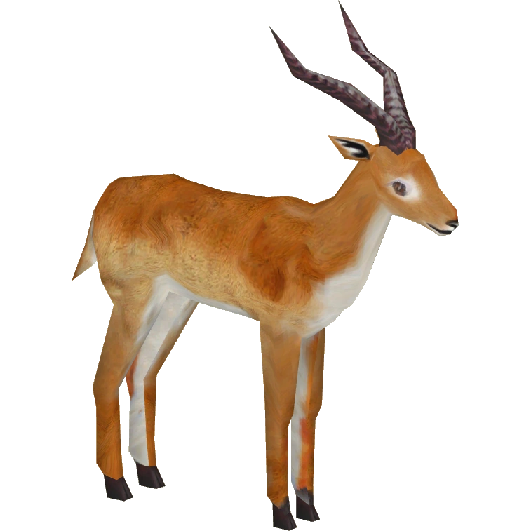 Red Lechwe
