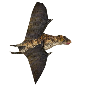Primeval Anurognathus