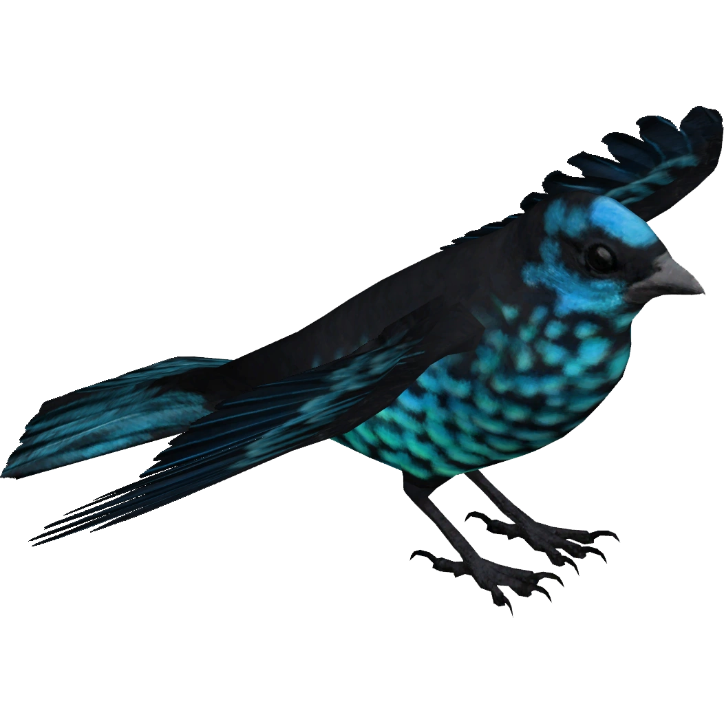 Beryl-spangled Tanager (Bunteriro) | ZT2 Download Library Wiki | Fandom