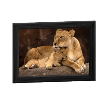 Framed Pictures (Zeta-Designs) | ZT2 Download Library Wiki | Fandom