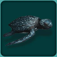 Leatherback Sea Turtle (Blue Fang) | ZT2 Download Library Wiki | Fandom