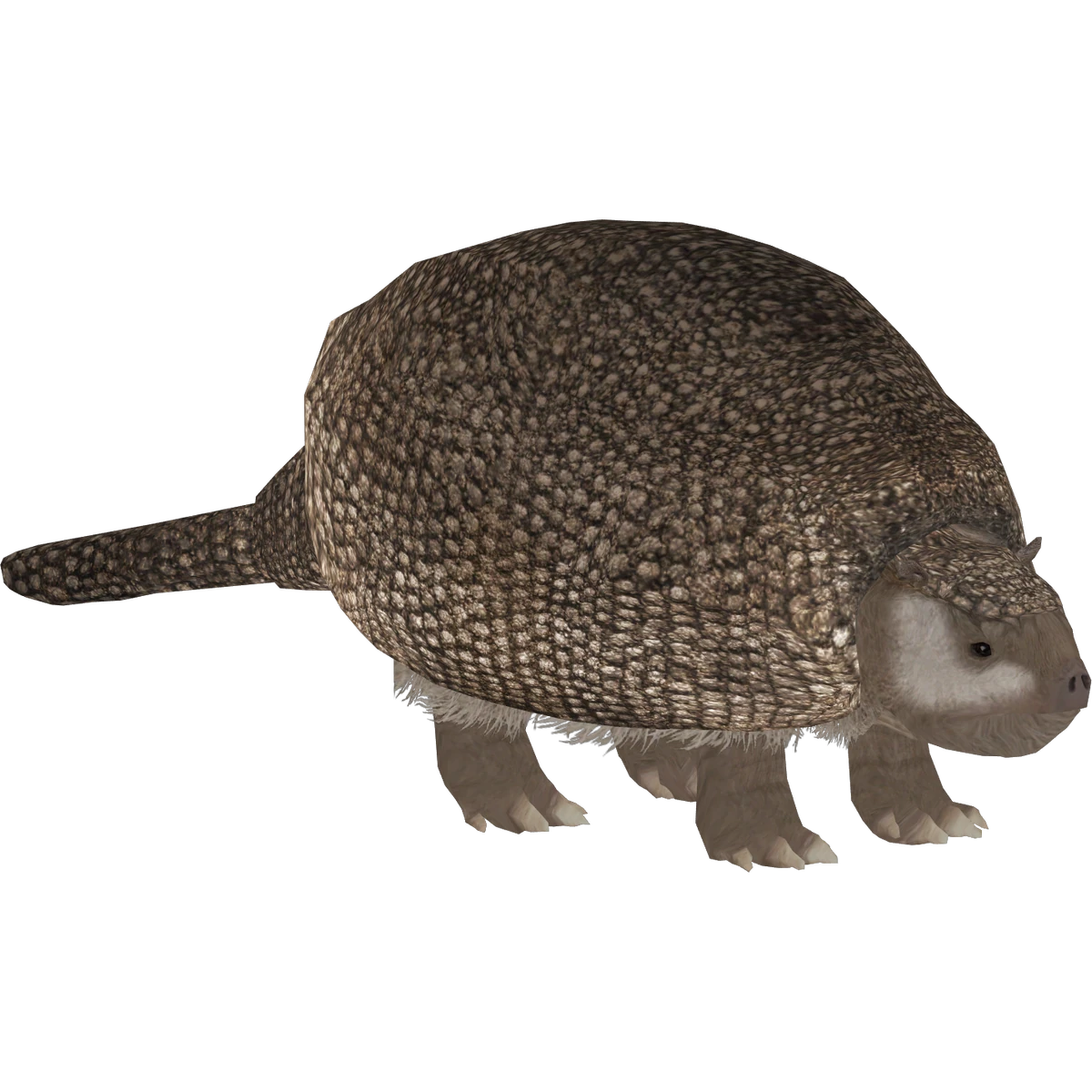 Plohophorus (Demon Hunter) | ZT2 Download Library Wiki | Fandom