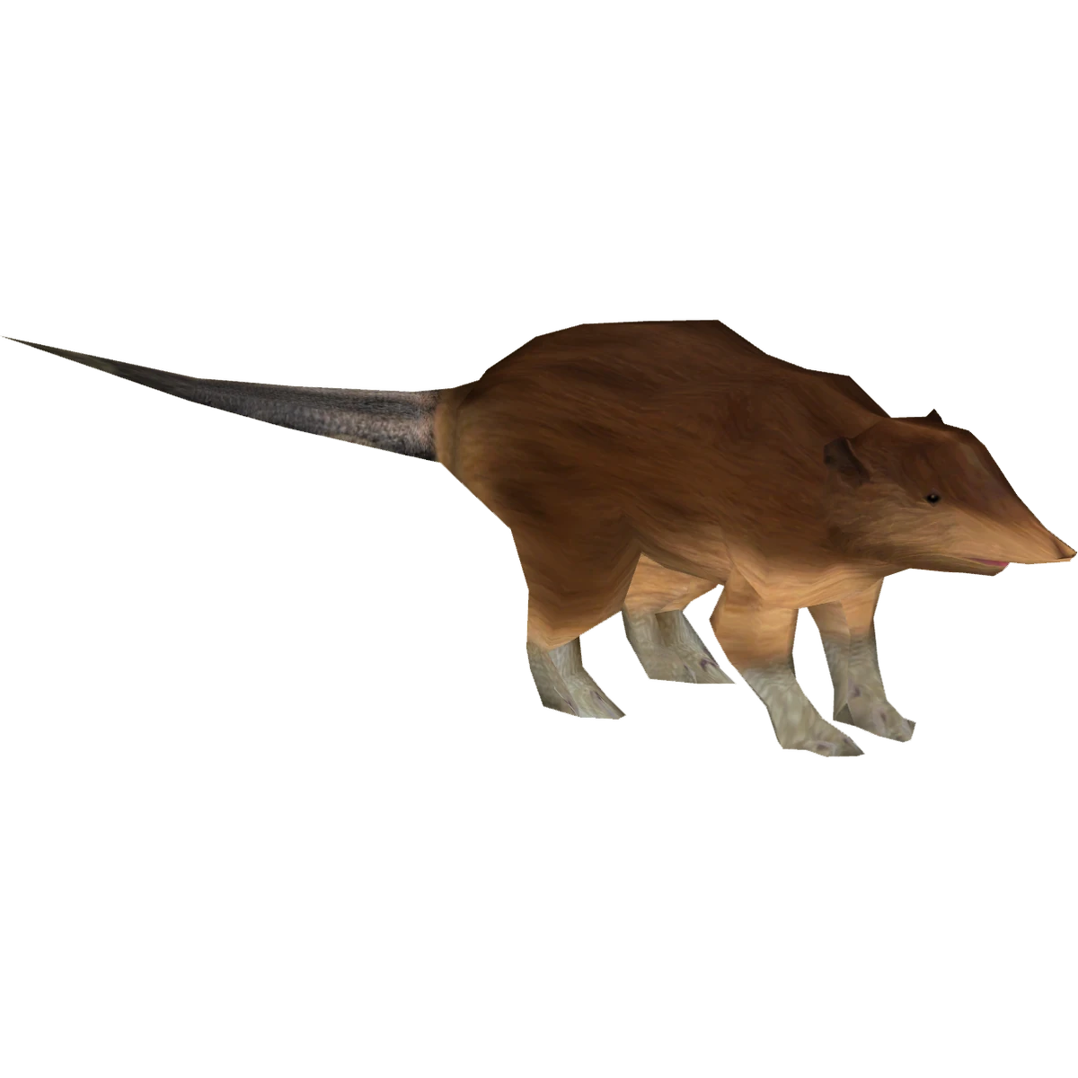 Hispaniolan Solenodon (Artifex) | ZT2 Download Library Wiki | Fandom