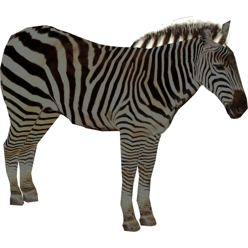 Grant's Zebra (DutchDesigns) | ZT2 Download Library Wiki | Fandom