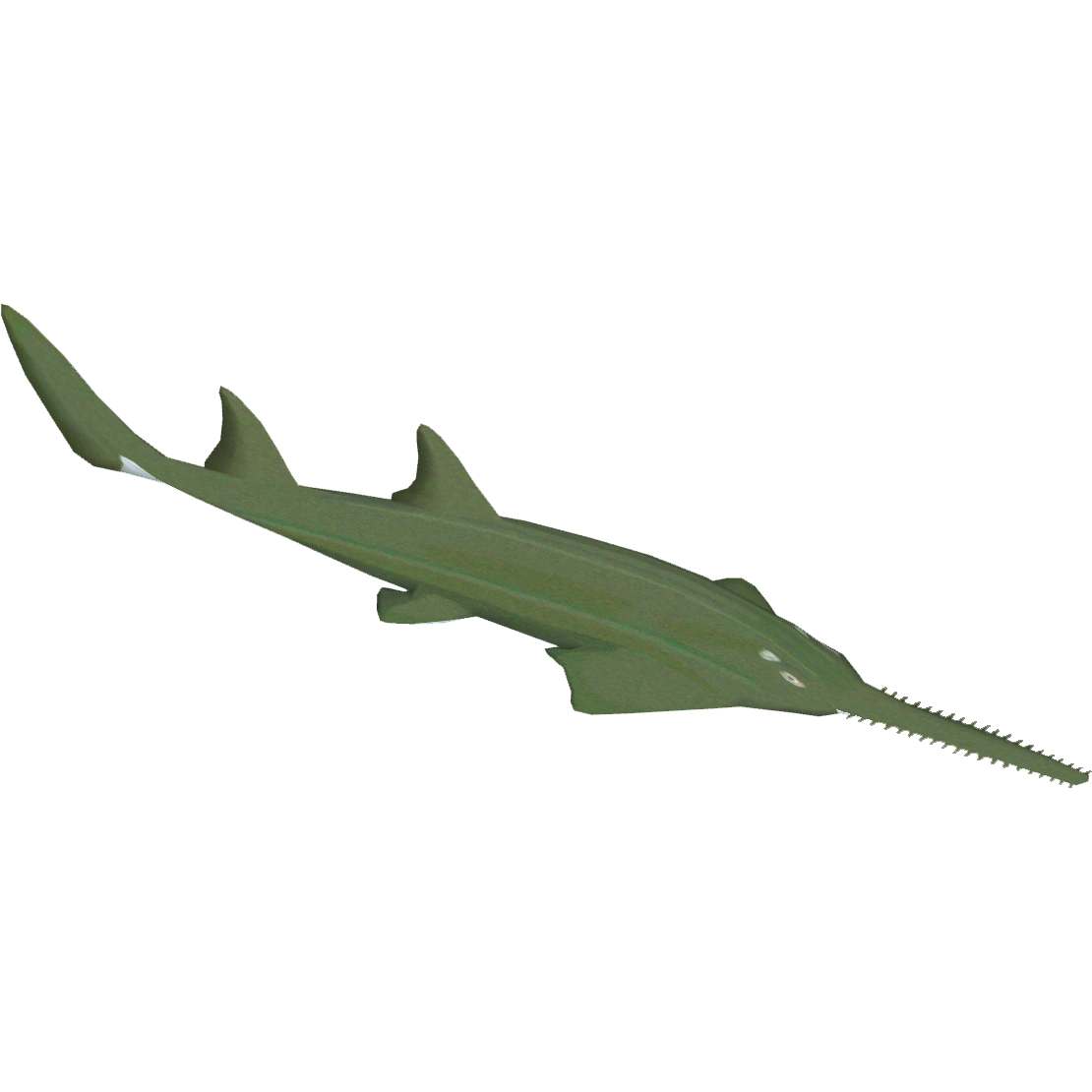 Longcomb Sawfish (Iba5000 & Silverwren) | ZT2 Download Library Wiki ...
