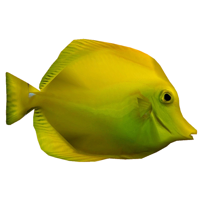 Yellow Tang (DutchDesigns) | ZT2 Download Library Wiki | Fandom