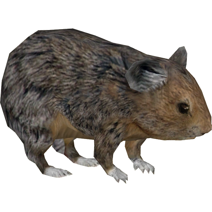 American Pika (Tamara Henson) | ZT2 Download Library Wiki | Fandom