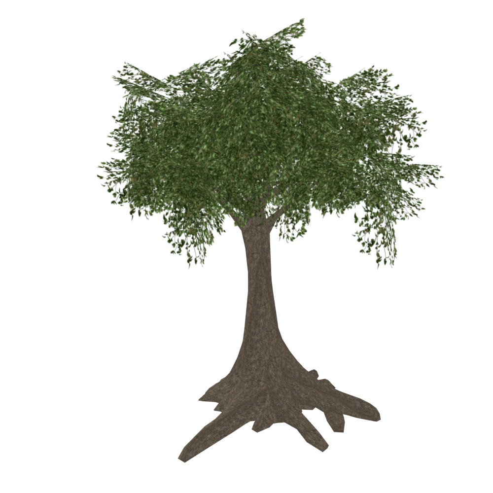 Big Tree (Thom) | ZT2 Download Library Wiki | Fandom
