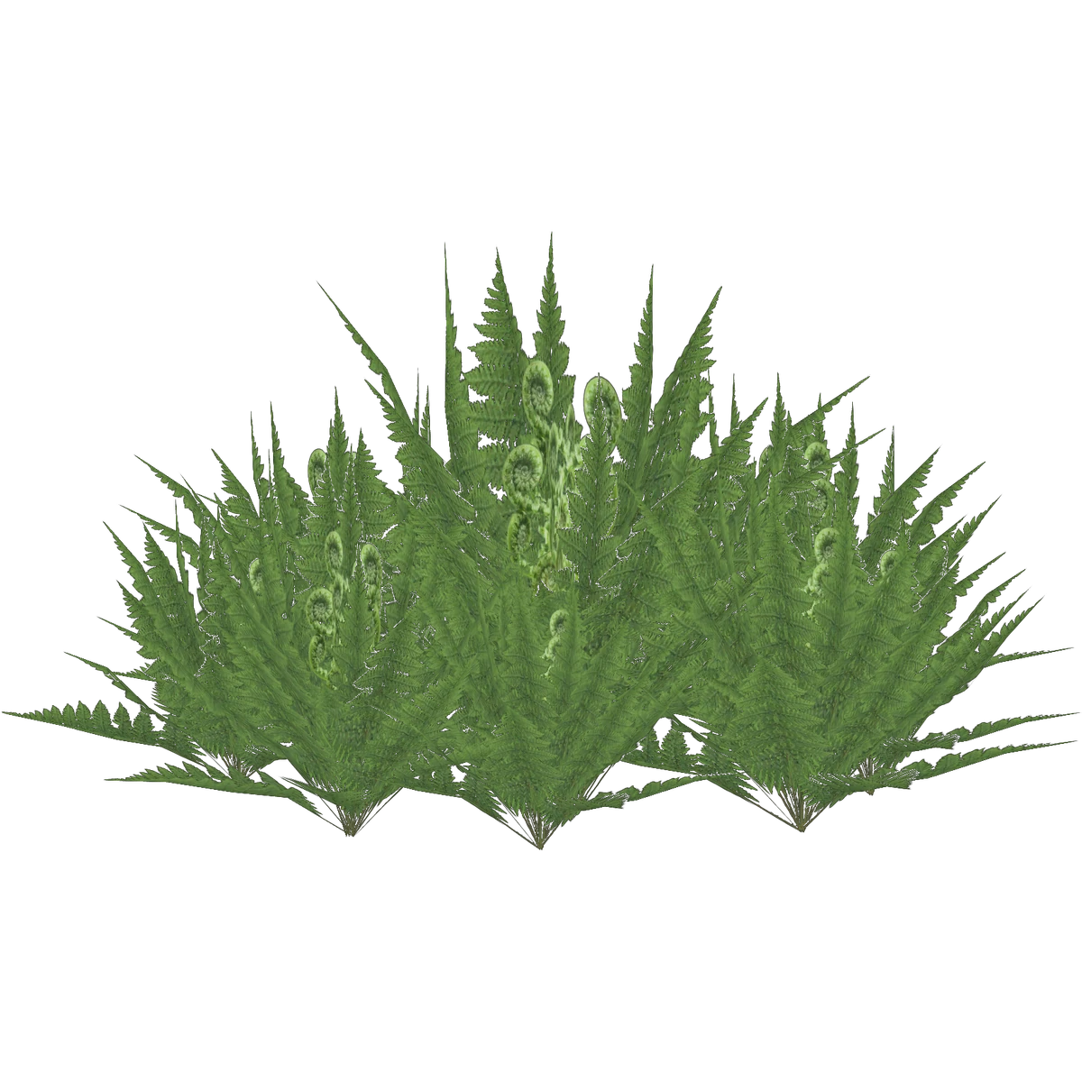 Lady Fern (Demon Hunter) | ZT2 Download Library Wiki | Fandom