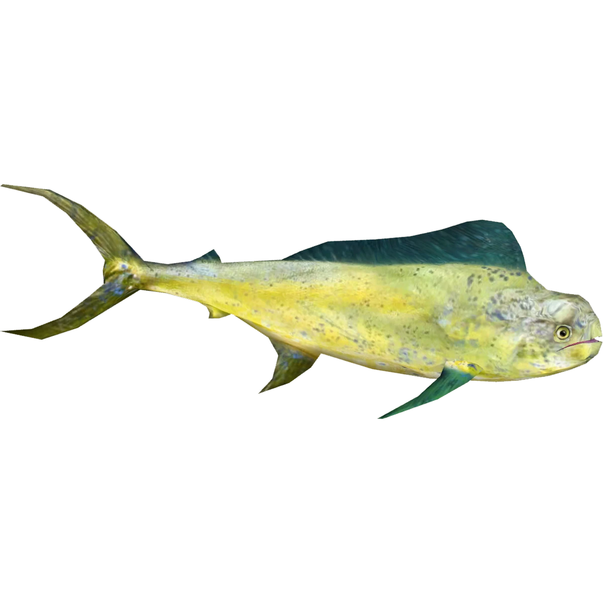 Mahi-Mahi (Artifex) | ZT2 Download Library Wiki | Fandom