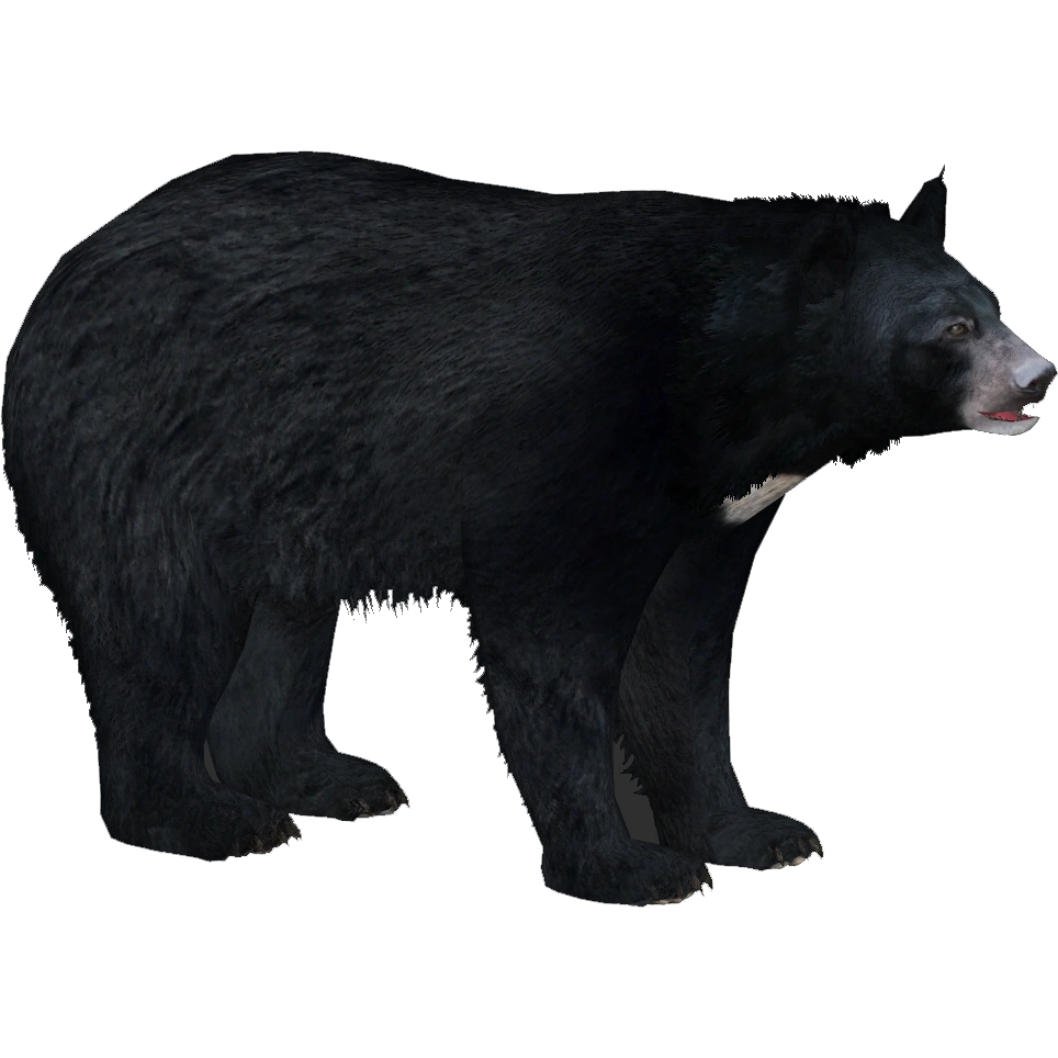 Steppe Cave Bear (Palaeoloxodon28) | ZT2 Download Library Wiki | Fandom