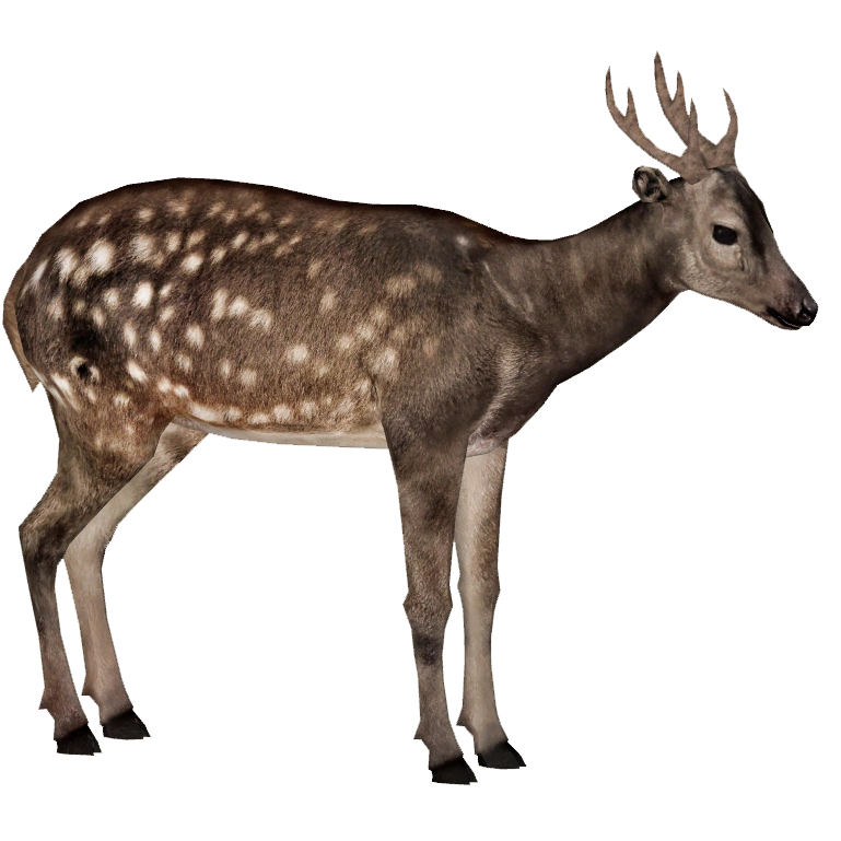 Visayan Spotted Deer (ZTABC Team) | ZT2 Download Library Wiki | Fandom