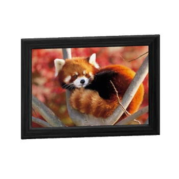 Framed Pictures (Zeta-Designs) | ZT2 Download Library Wiki | Fandom