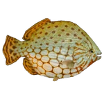 Category:Extinct Ray-finned Fish | ZT2 Download Library Wiki | Fandom