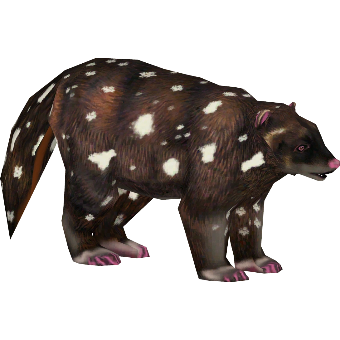 Spotted Quoll (Nique) | ZT2 Download Library Wiki | Fandom