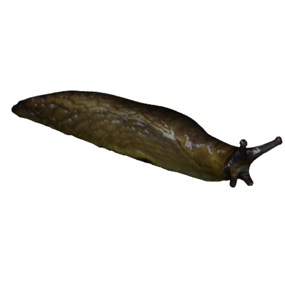 Placeable Slug (Dycki1231) | ZT2 Download Library Wiki | Fandom