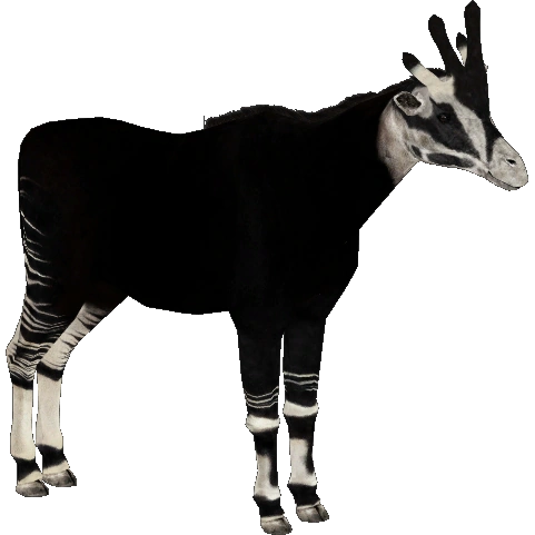 Bramatherium (UnusMultorum) | ZT2 Download Library Wiki | Fandom