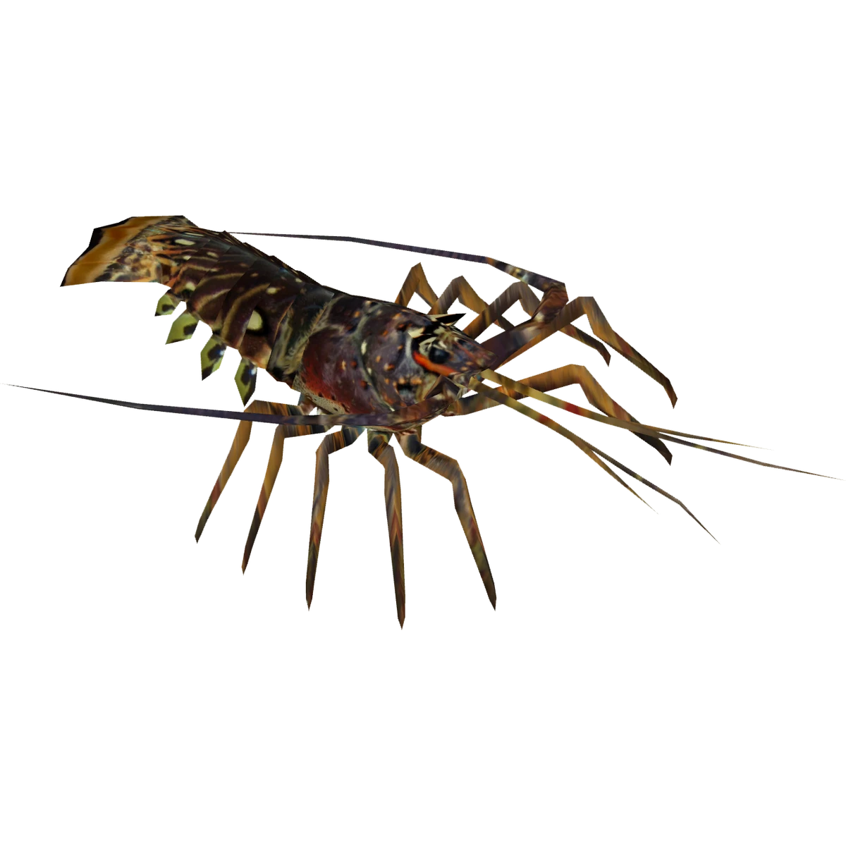 Ambient Caribbean Spiny Lobster (Dycki1231) | ZT2 Download Library Wiki ...