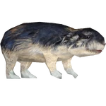 Category:Myomorphs | ZT2 Download Library Wiki | Fandom