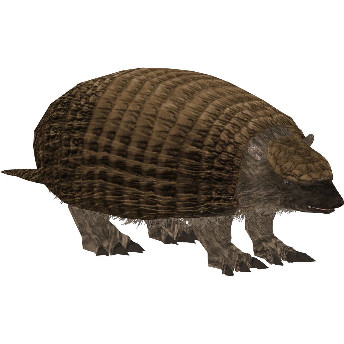 Macroeuphractus (Demon Hunter) | ZT2 Download Library Wiki | Fandom