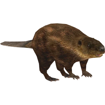 Eurasian Giant Beaver (Demon Hunter) | ZT2 Download Library Wiki | Fandom