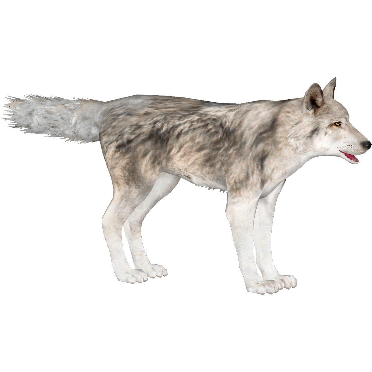 Siberian Tundra Wolf (Tamara Henson) | ZT2 Download Library Wiki | Fandom
