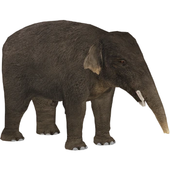 Archaeobelodon (Demon Hunter) | ZT2 Download Library Wiki | Fandom