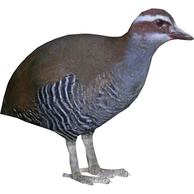 Guam Rail (Whalebite) | ZT2 Download Library Wiki | Fandom