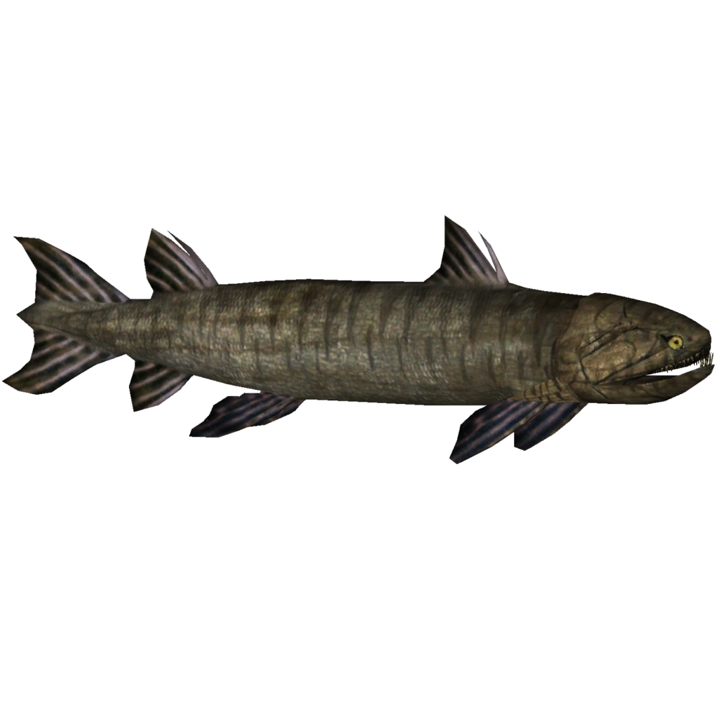 Category:Extinct Bony Fish | ZT2 Download Library Wiki | Fandom