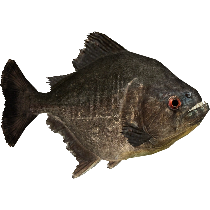 Redeye Piranha (Zerosvalmont) | ZT2 Download Library Wiki | Fandom